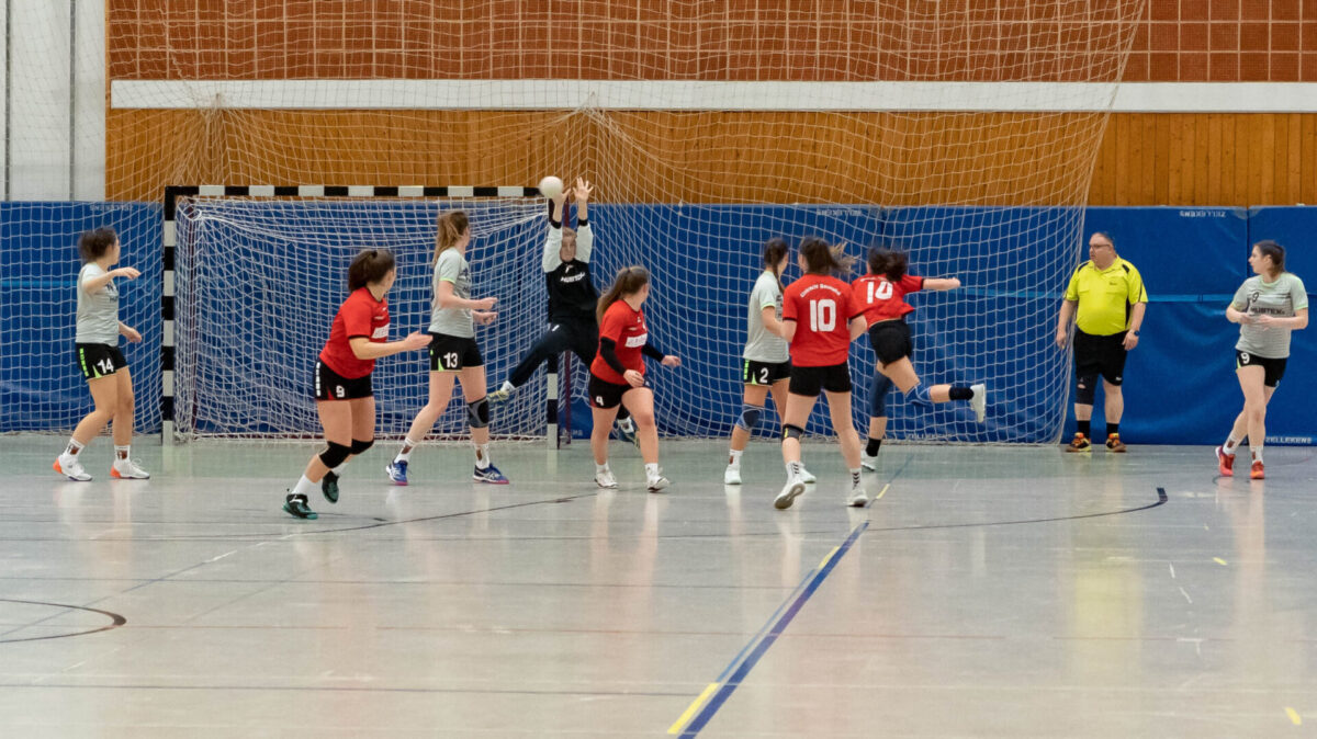 FT 1848 e.V. – Abteilung Handball